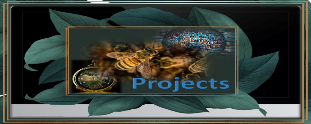 Projects – E2 Management Corporation